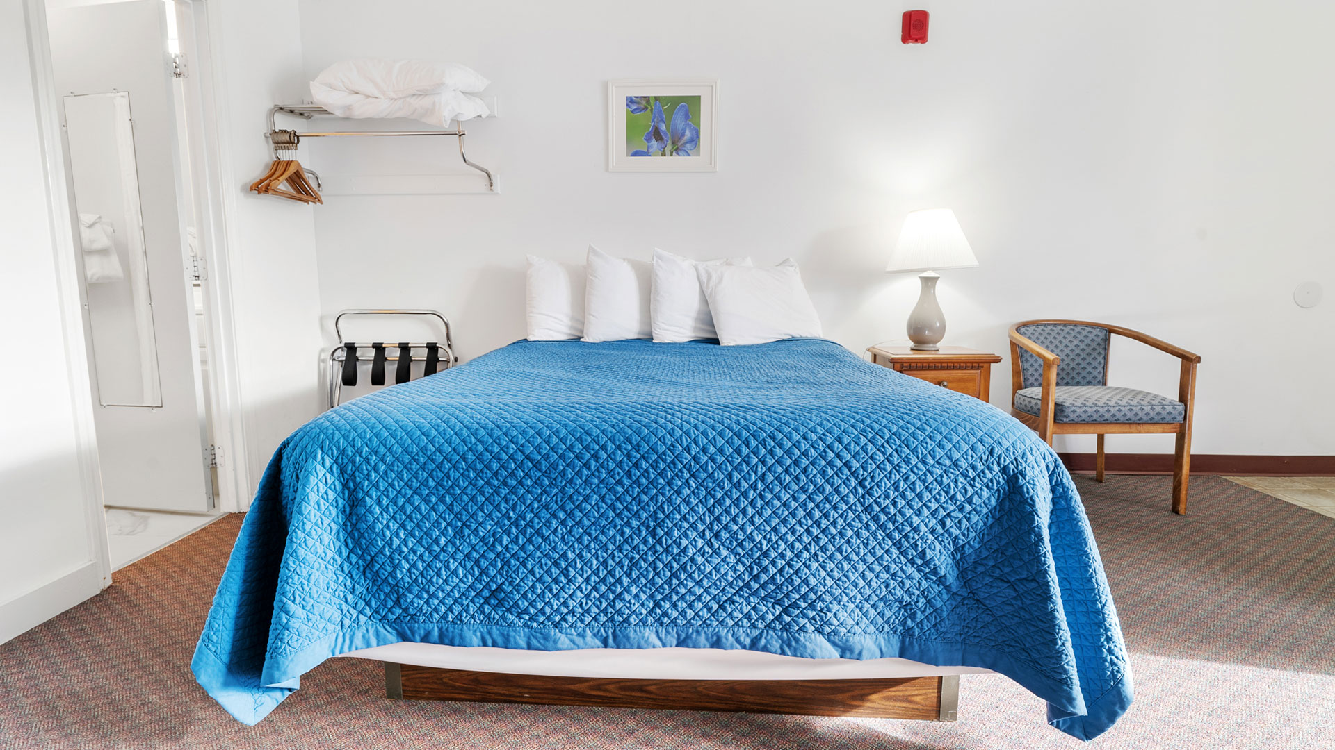 Deluxe Motel Guest Rooms & Kitchenettes - Carriage House Motel and Suites